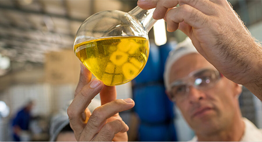 From Seed to Oil: CPM's Canola Processing in Action